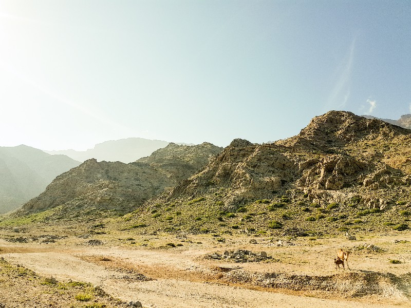 Jebel Samhan Dhofar Oman.jpg – My Wanderlust Diary